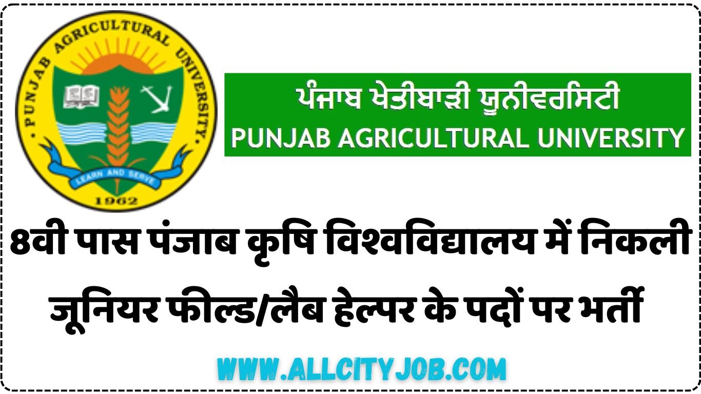 PAU Vacancy Notification 2024, Apply Junior Field/Lab Helper Posts ...