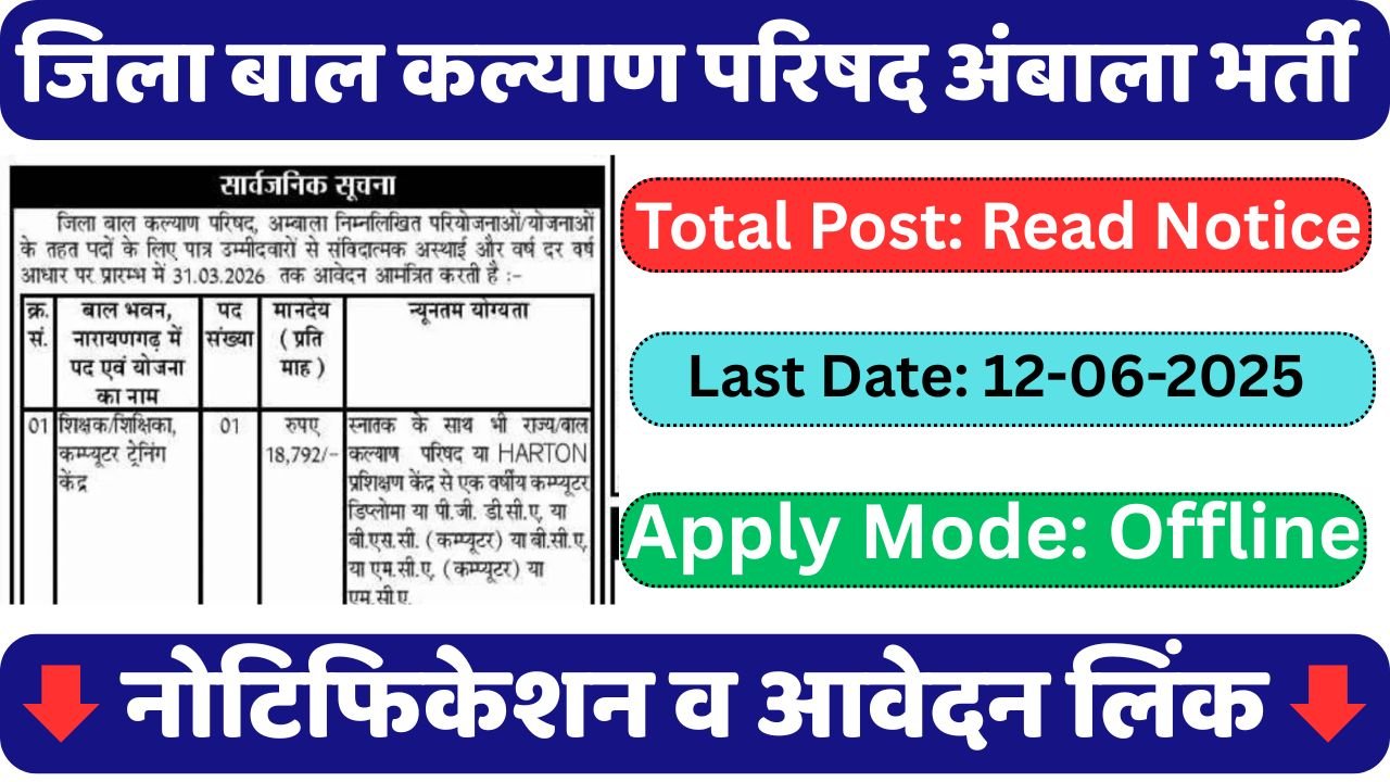 District Child Welfare Council Ambala Recruitment 2025 - All City Job